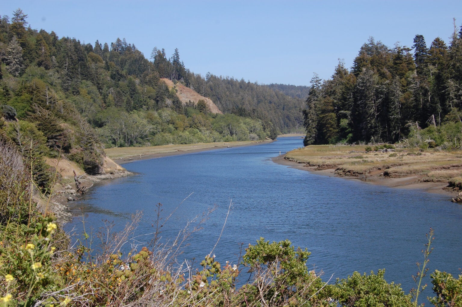 Big River Estuary and Watershed - Mendocino Land Trust