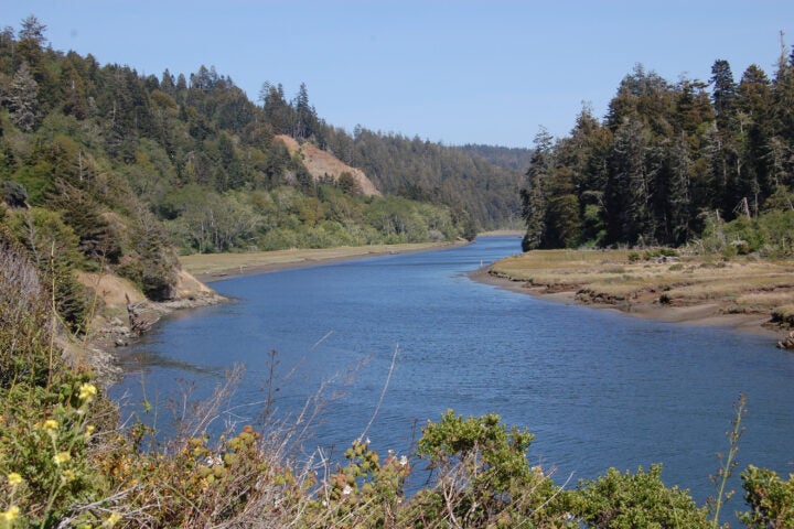 Big River Estuary and Watershed - Mendocino Land Trust
