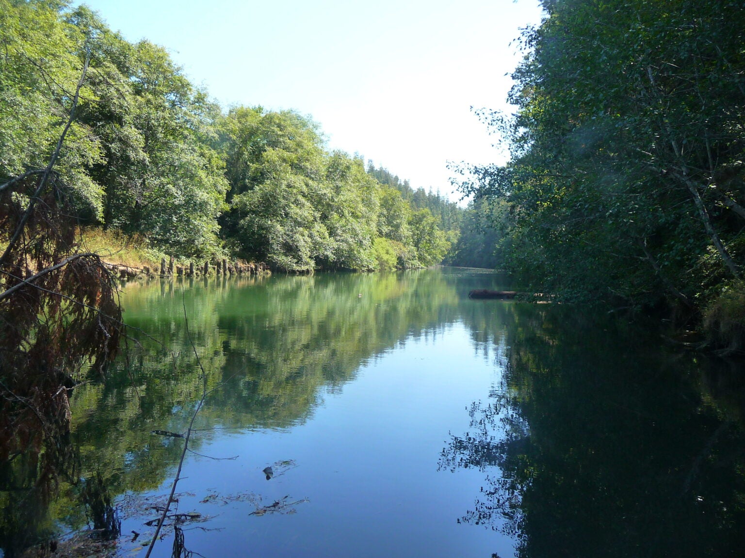 Big River Estuary and Watershed - Mendocino Land Trust