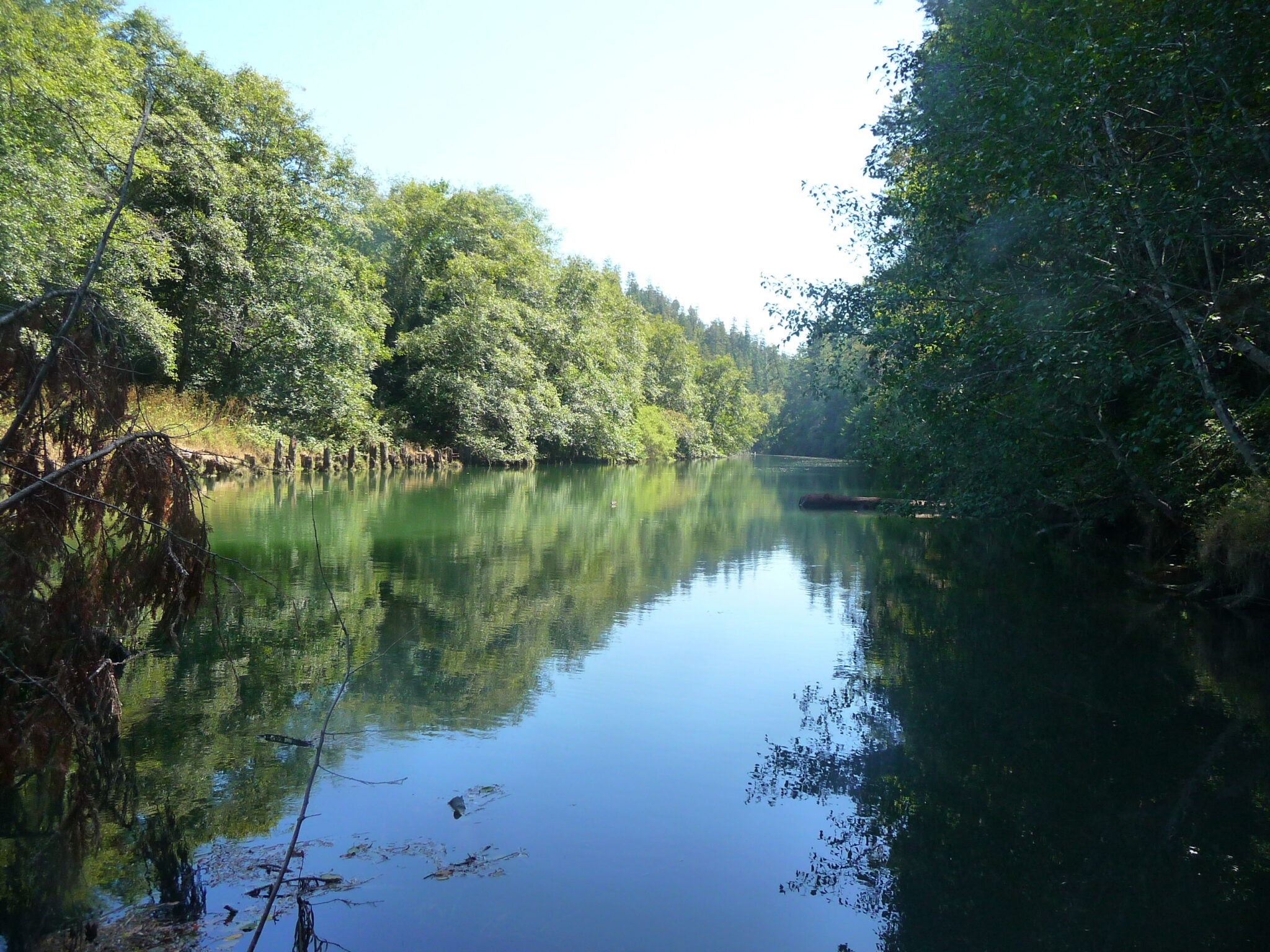 Big River Trail - Mendocino Land Trust