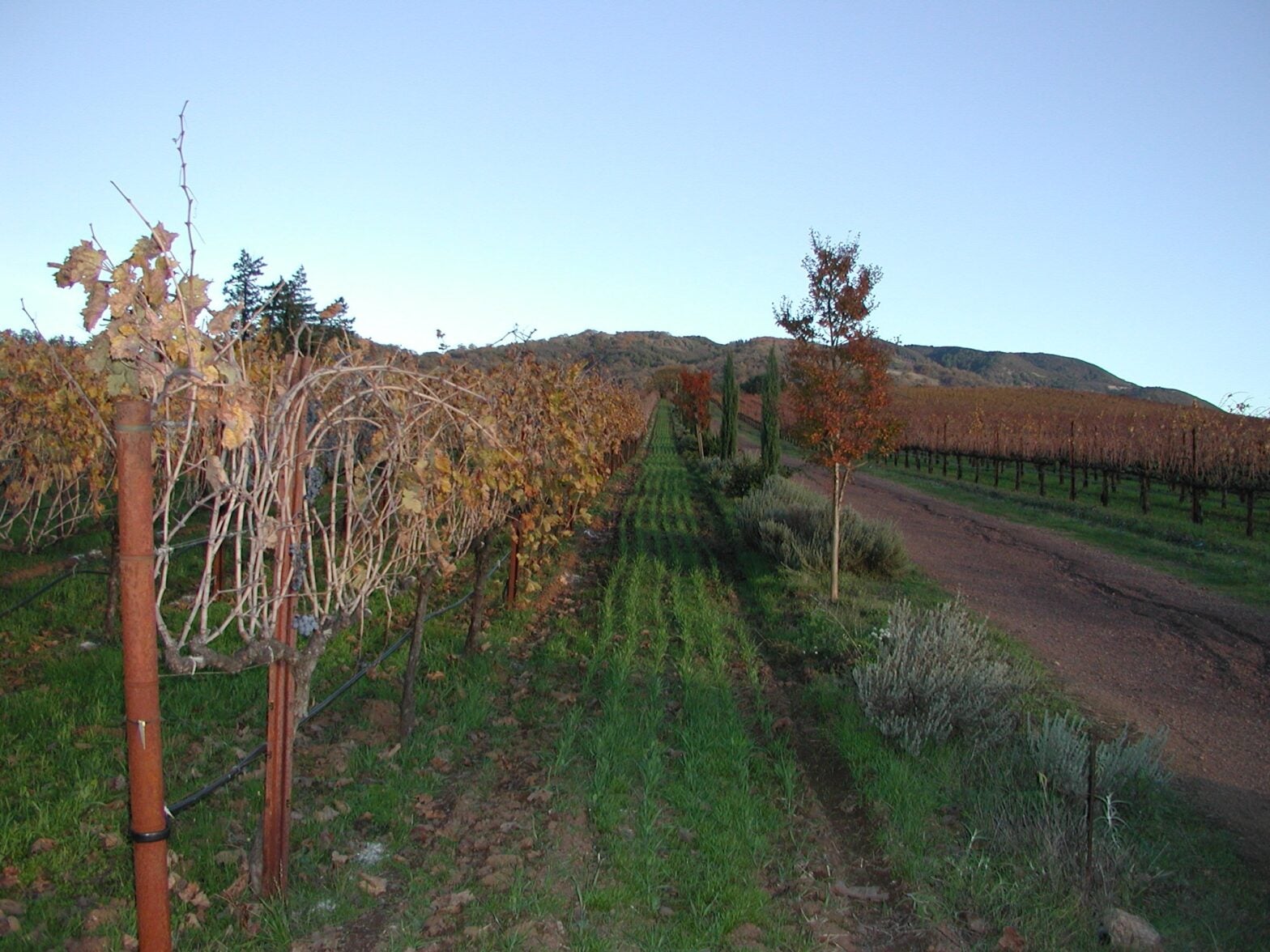 Conservation Easement: Dark Horse Ranch - Mendocino Land Trust