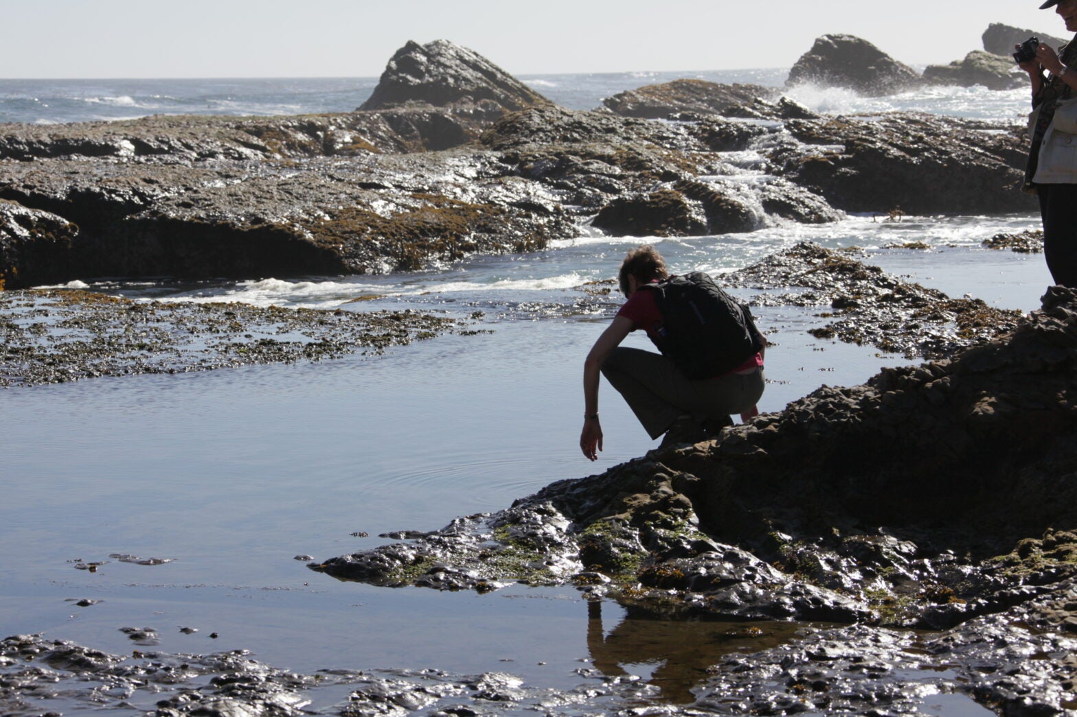 Point Arena-Stornetta Lands - Mendocino Land Trust