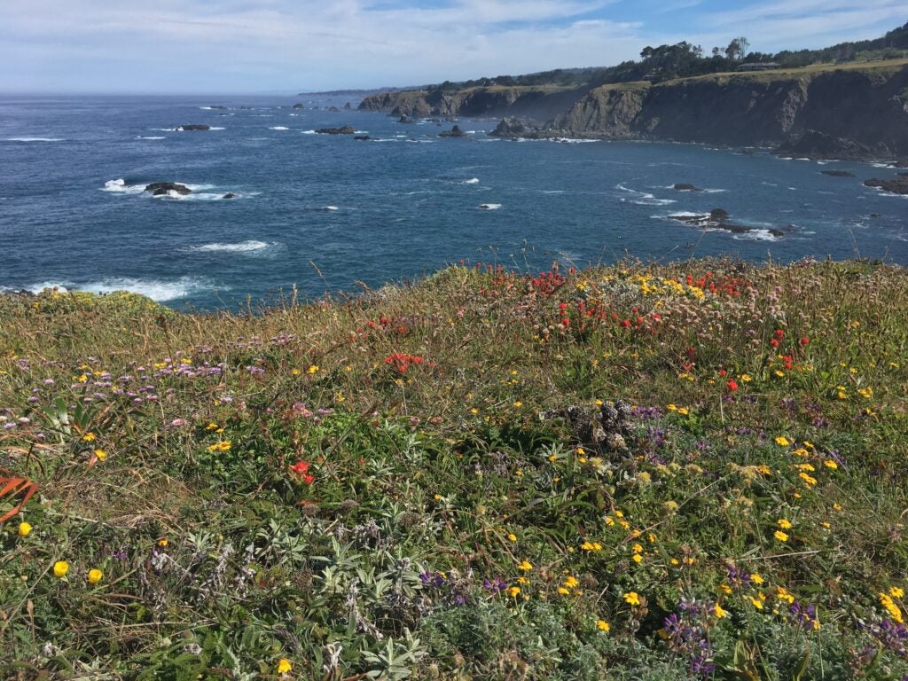 Navarro Point and Trail - Mendocino Land Trust
