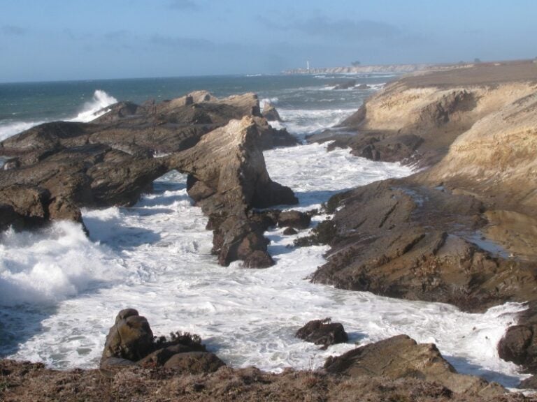 Point Arena-Stornetta Trail - Mendocino Land Trust