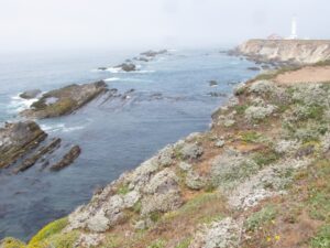 Point Arena-Stornetta Trail - Mendocino Land Trust