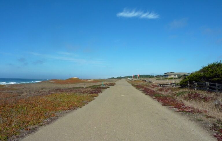 Manchester State Beach - Mendocino Land Trust