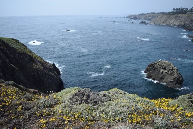 Navarro Point Trail - Mendocino Land Trust