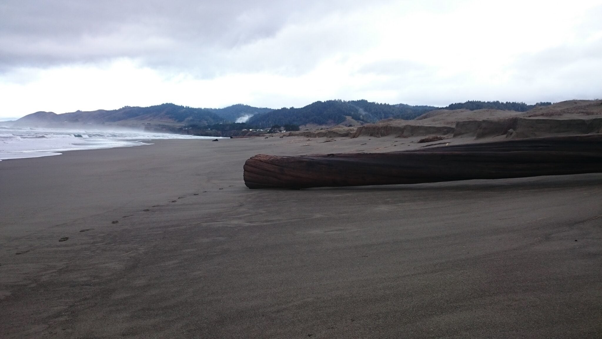Manchester State Beach - Mendocino Land Trust