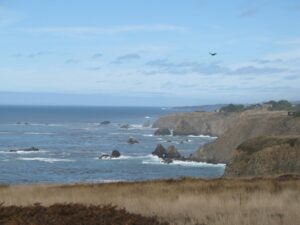 Navarro Point Trail - Mendocino Land Trust