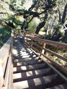 Jug Handle Trail - Mendocino Land Trust
