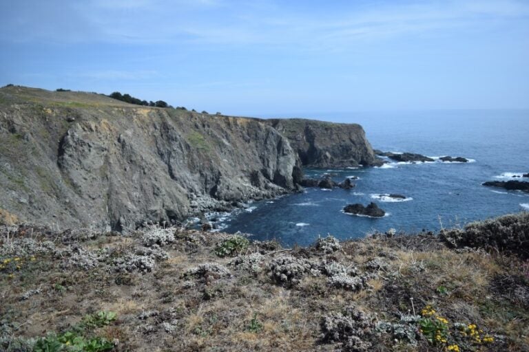 Navarro Point Trail - Mendocino Land Trust