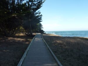 Manchester State Beach - Mendocino Land Trust