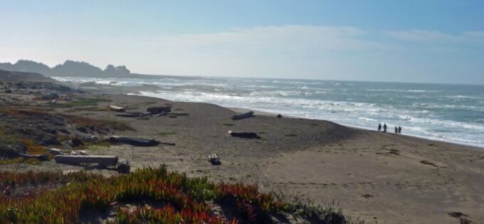Manchester State Beach - Mendocino Land Trust