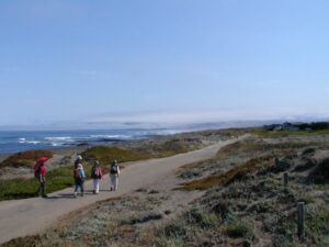 Manchester State Beach - Mendocino Land Trust