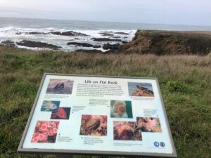 Noyo Headlands Trail - Mendocino Land Trust