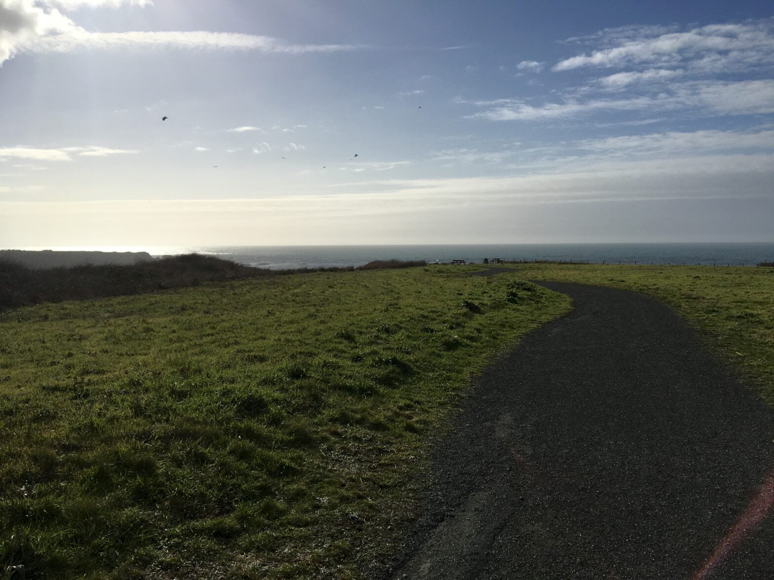 Noyo Headlands Trail - Mendocino Land Trust