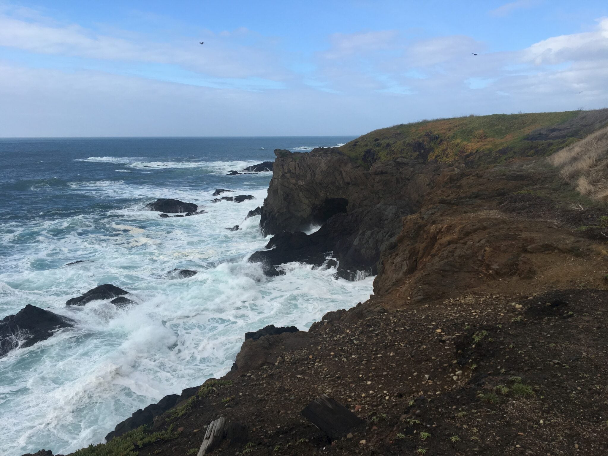 Noyo Headlands Trail - Mendocino Land Trust