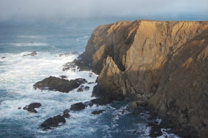 Navarro Point Trail - Mendocino Land Trust