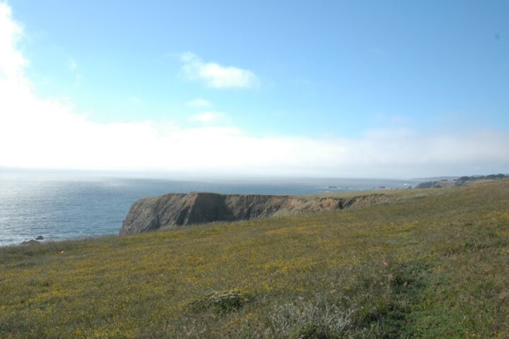 Navarro Point Trail - Mendocino Land Trust