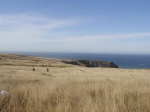 Navarro Point Trail - Mendocino Land Trust