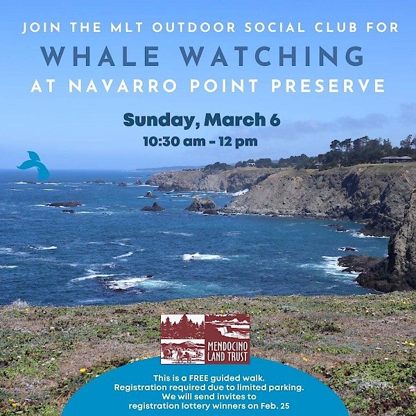Whale Watching at Navarro Point - Mendocino Land Trust