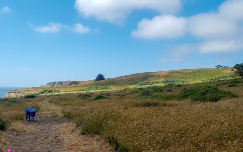 Navarro Point - Mendocino Land Trust