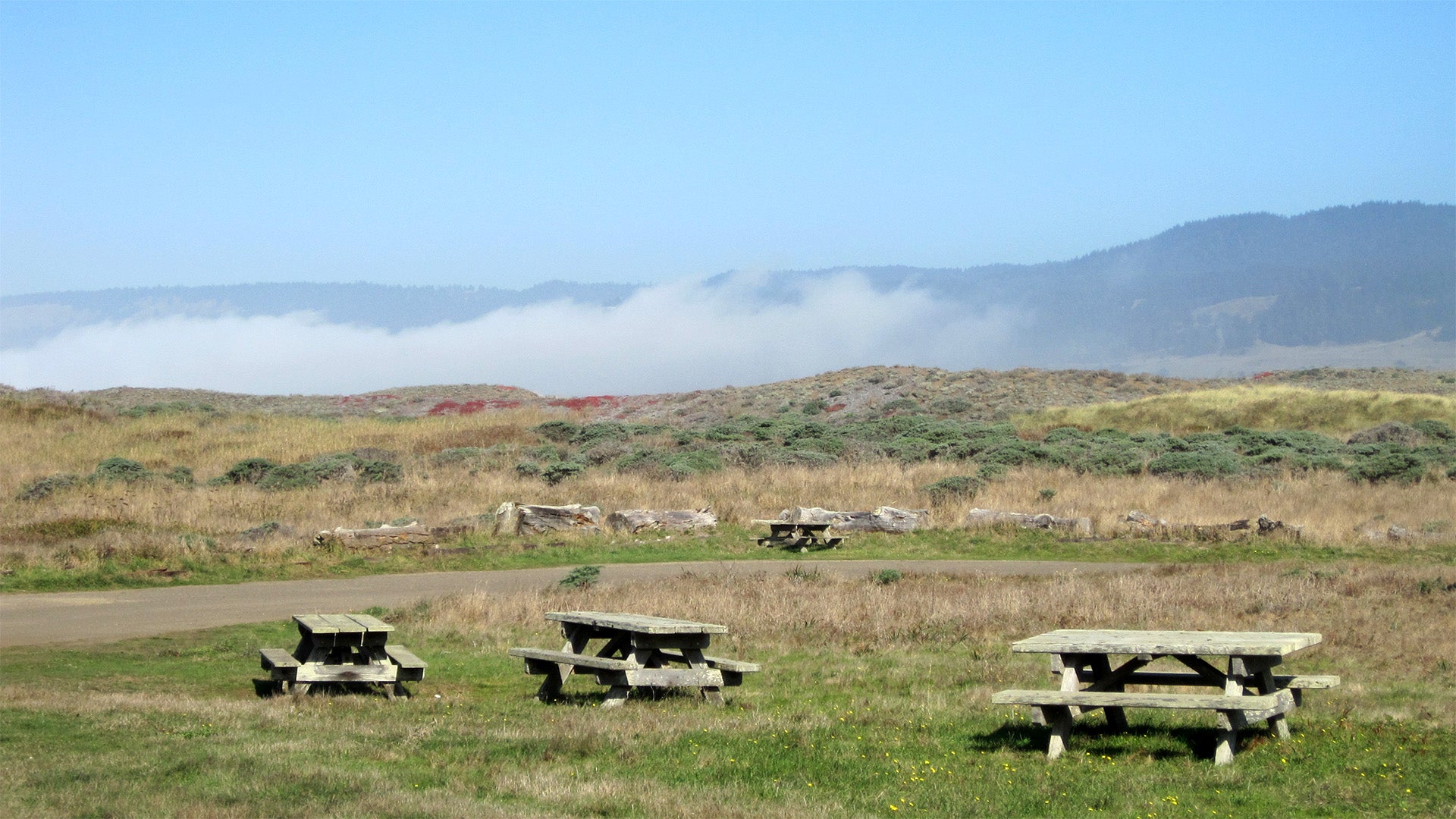 Manchester State Beach - Mendocino Land Trust