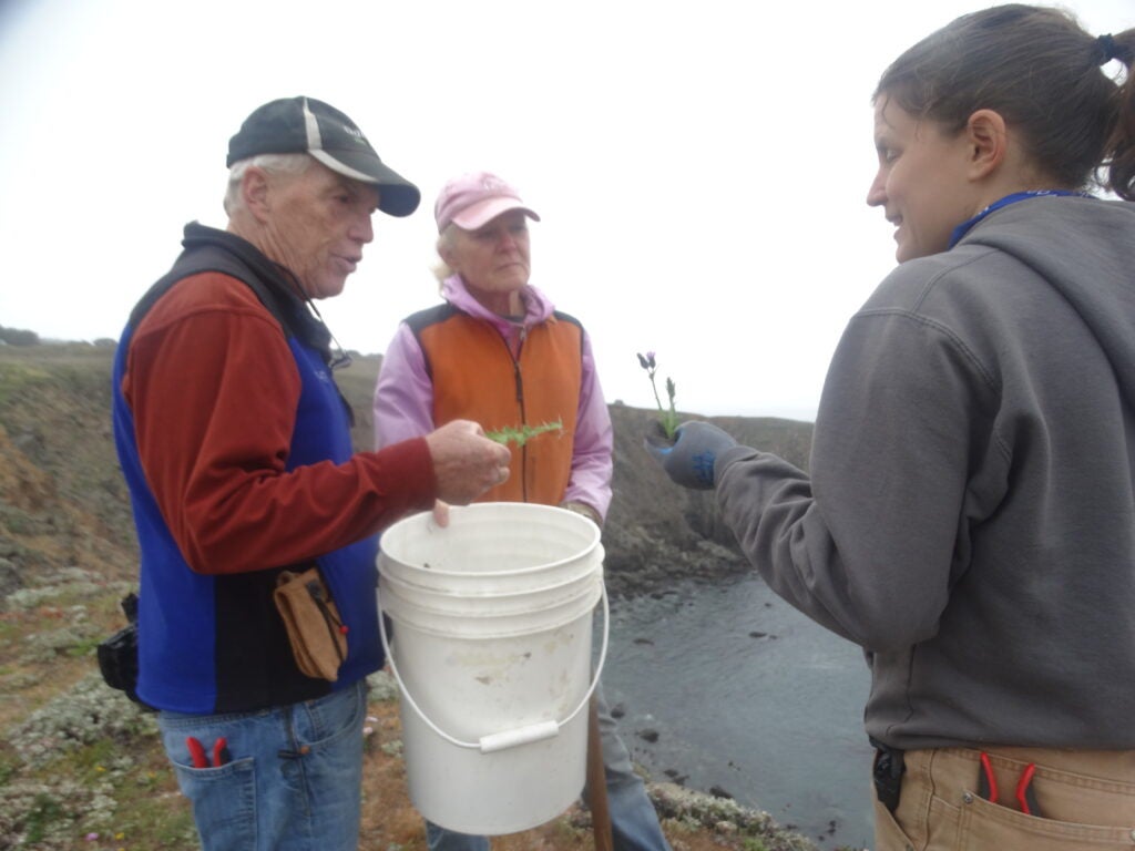 August Navarro Point Stewards - Mendocino Land Trust
