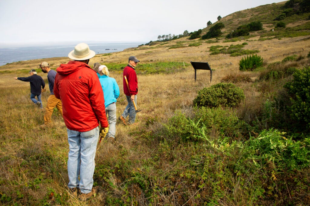 November Navarro Point Stewards - Mendocino Land Trust