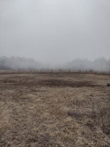 Spring Ranch Trail - Mendocino Land Trust