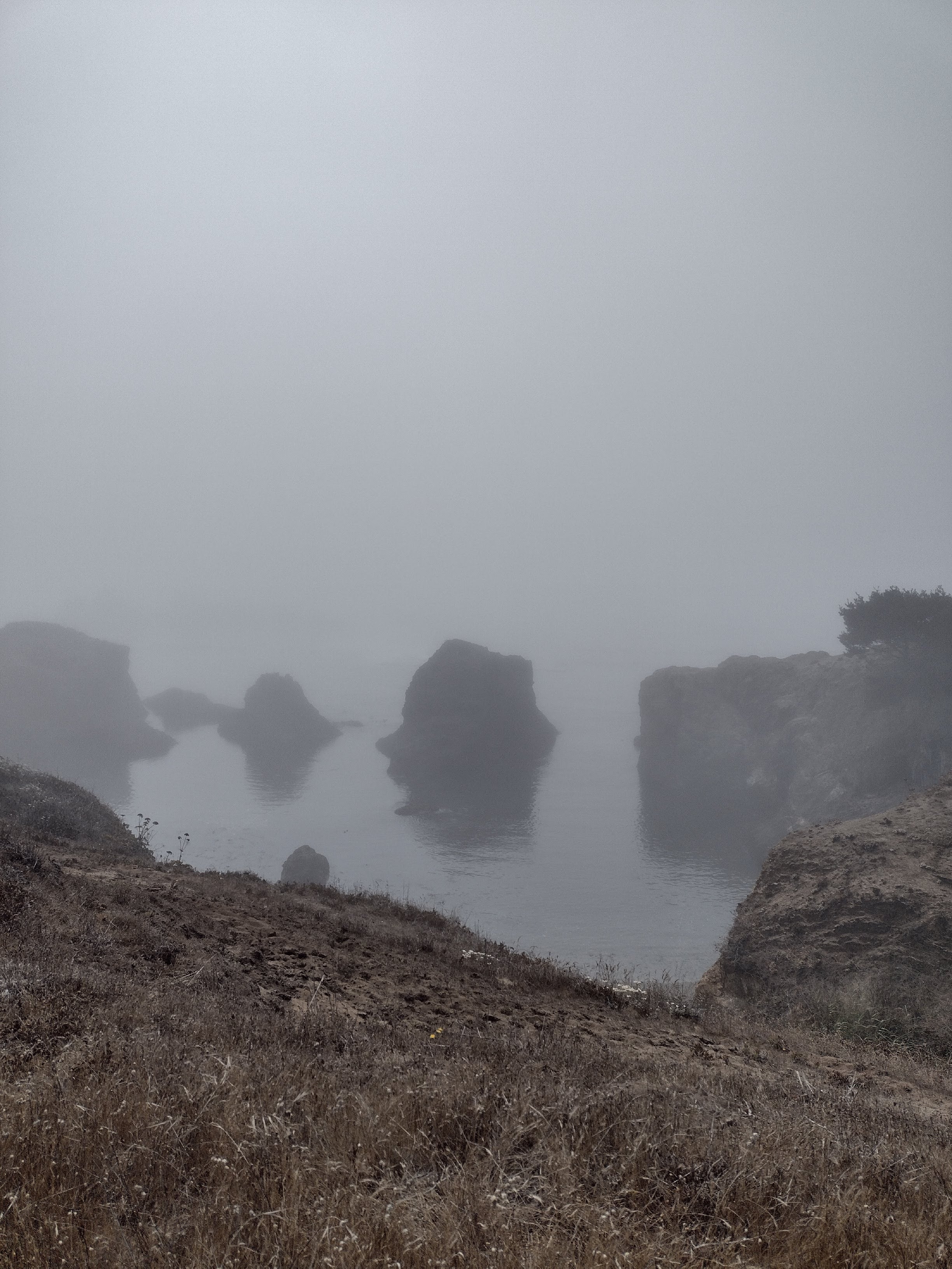 Spring Ranch Trail - Mendocino Land Trust