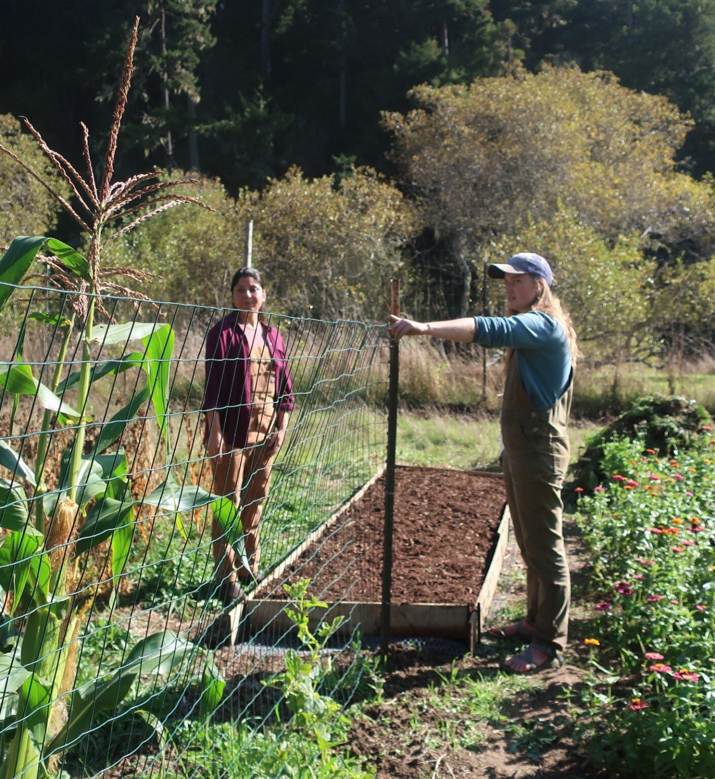 Sustainable Agricultural Lands Conservation (SALC) - Mendocino Land Trust